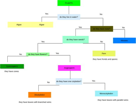 Dichotomous Key Template | Visual Paradigm User-Contributed Diagrams ...