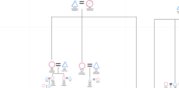 ANTH 201-01 Caitlin Shipley Kinship Chart | Visual Paradigm Диаграммы ...